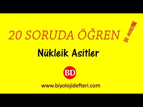 20 SORUDA ÖĞREN ! I Nükleik Asitler#2 ( 11 - 20 Arası Sorular )