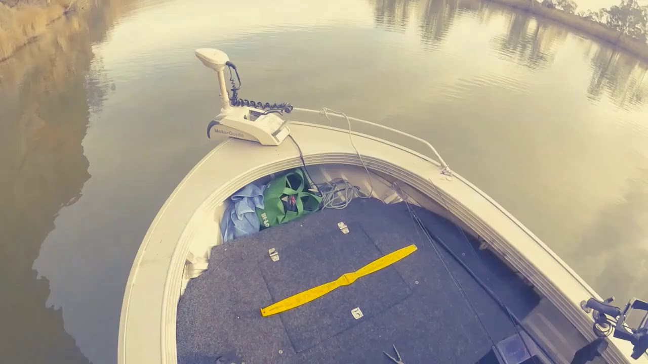 Callop in the lower Murray River - YouTube