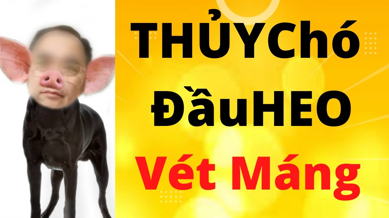 #ThaiHoangCaLi THỦYChó ĐầuHEO Vét Máng - YouTube