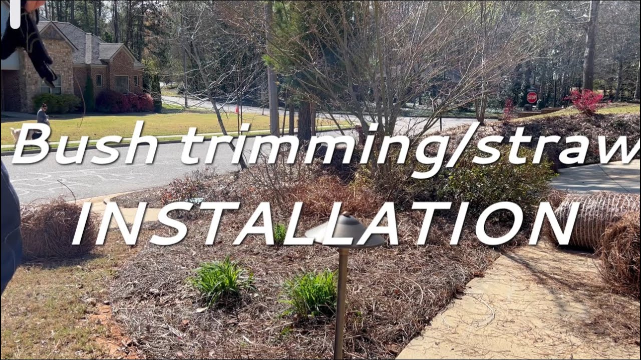 Bush trimming/ straw installation job! - YouTube