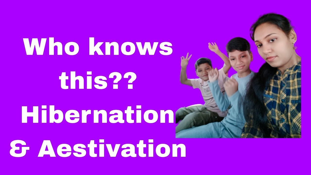 Hibernation and aestivation - YouTube
