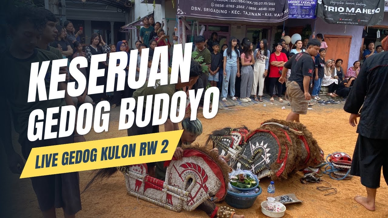 LIVE GEDOG KULON RW 2 ‼️ JARANAN KIDAL GEDOG BUDOYO,PENONTON PADA LARI ...