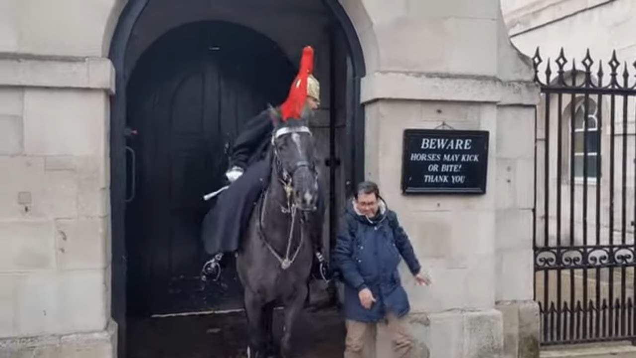 Tourist leans on the kings guards Horse again he shouts (GET BACK) # ...