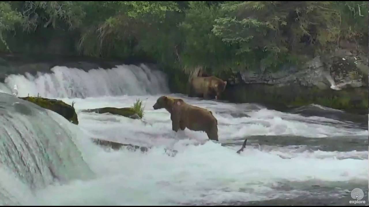 5;23m 070216 Otis 480 and 83 wayn brother at the falls Katmai National ...