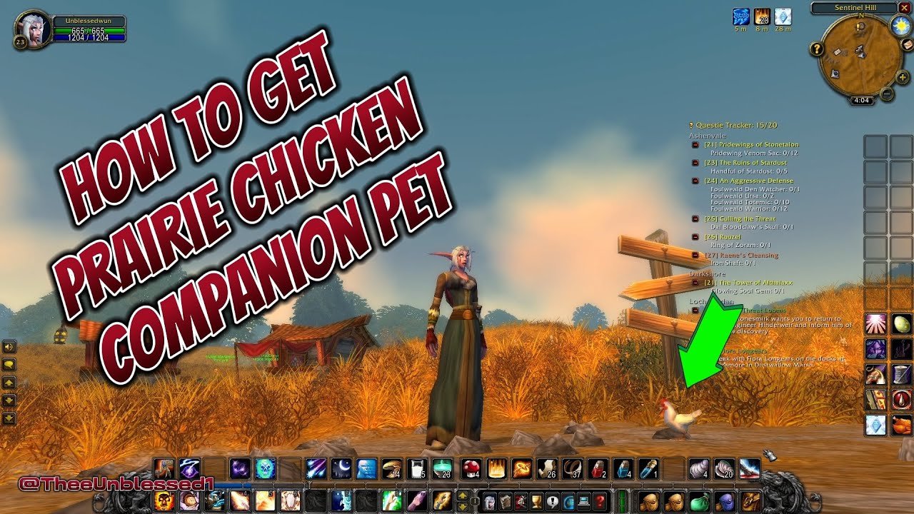World of Warcraft Classic How to Get Prairie Chicken Companion Pet ...