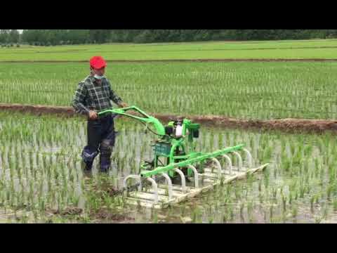 paddy field mechanical weeding machine - YouTube