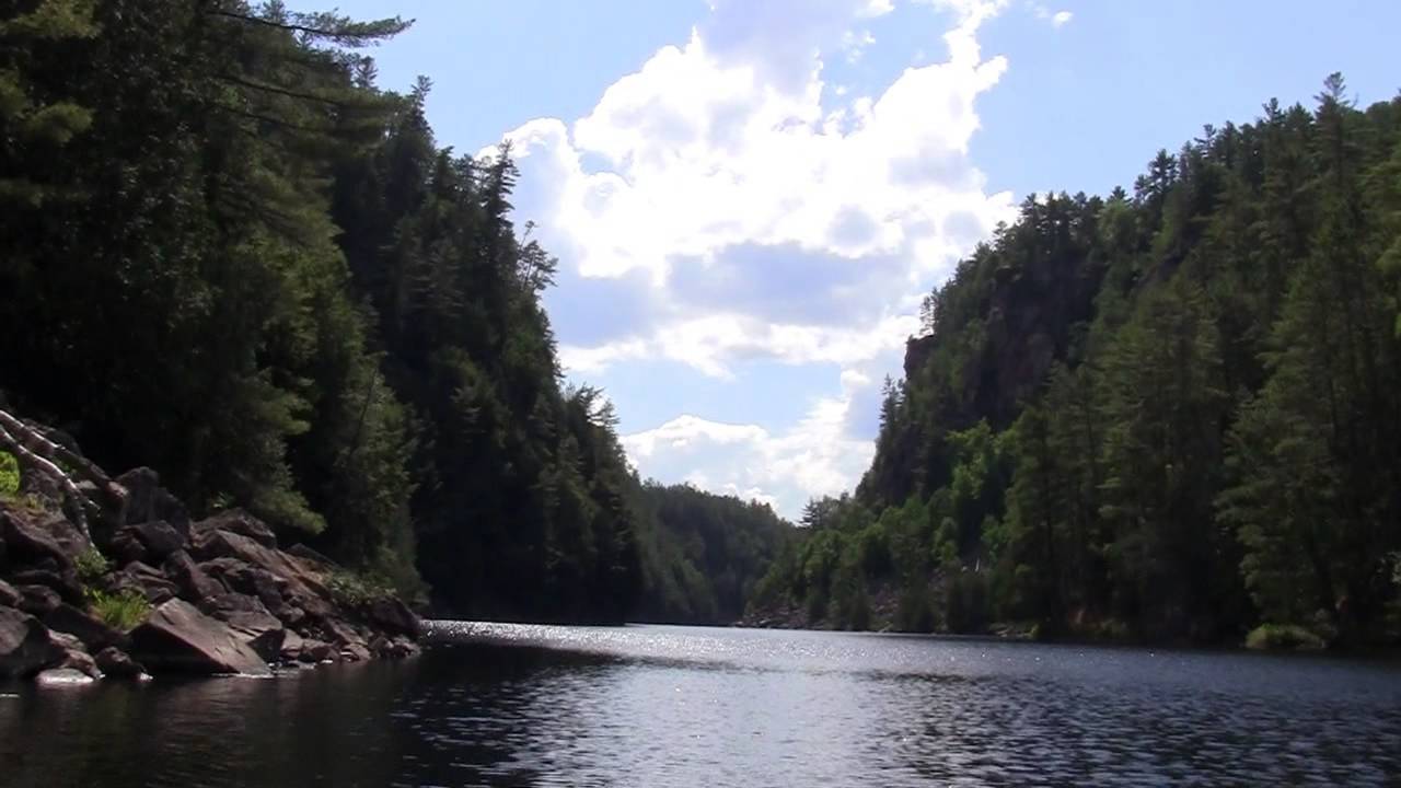 Paddling on the Barron River - YouTube