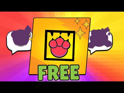 Collect all Free Pins in Brawl Stars | New NITA CHALLENGE Rewards & Maps | 8-0 New NITA CHALLENGE