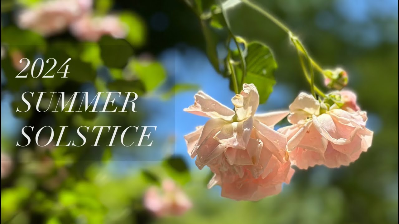 Summer Solstice 2024 / Roses, Deer, Birds Chirpings / Soothing nature ...