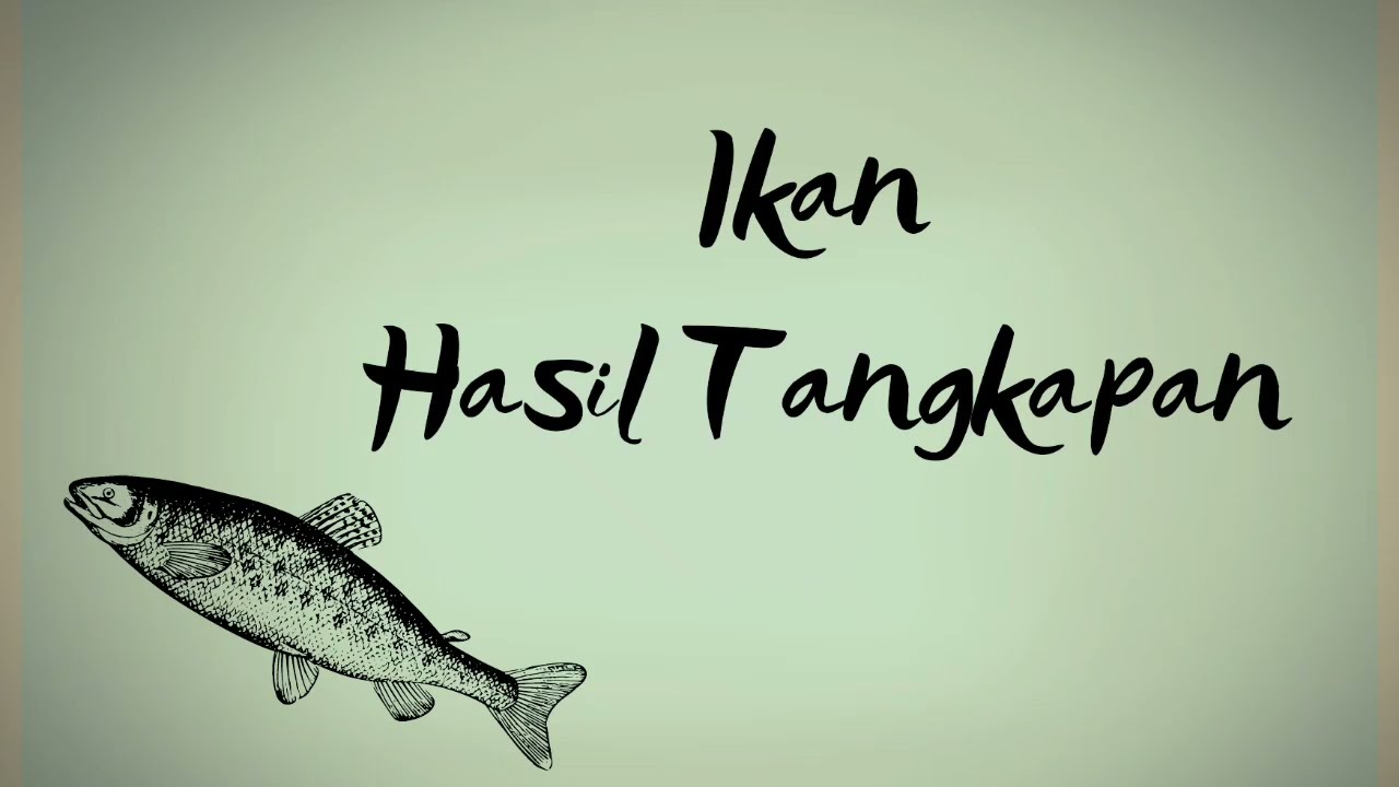 Mancing ikan Baung Teknik Pancing Ulur (Hand Line) - YouTube