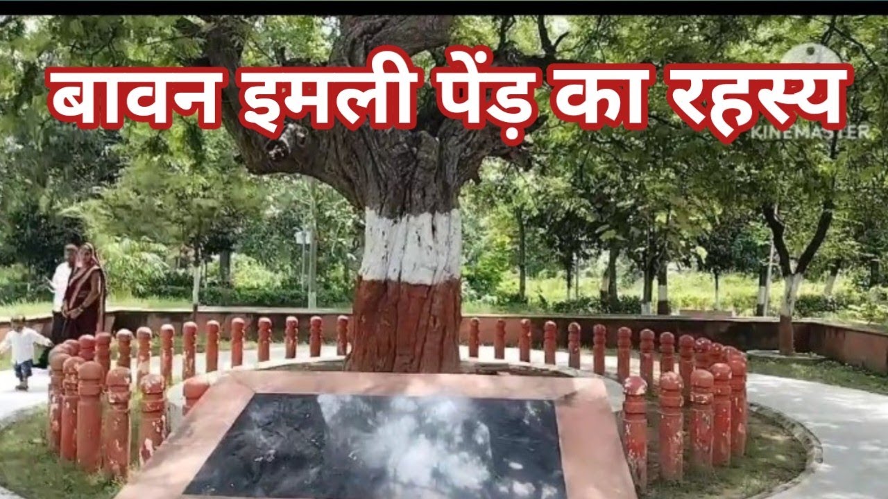 बावन इमली पेंड़ का रहस्य | bavan imli | Bindki Fatehpur | Jodha Singh ...
