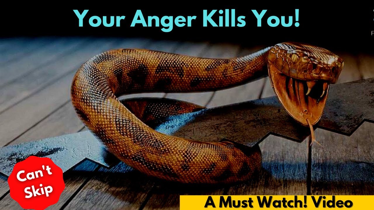 Your anger kills you | A short story on Anger | Growth Positivity story ...