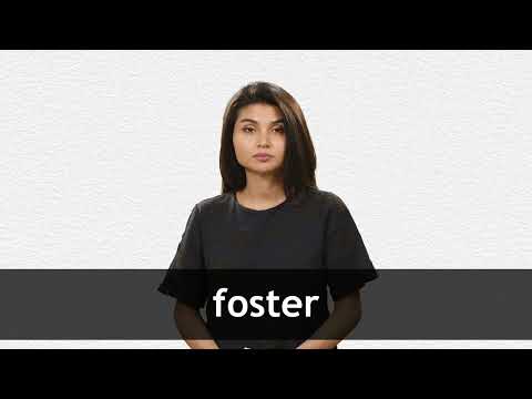 How to pronounce FOSTER in American English