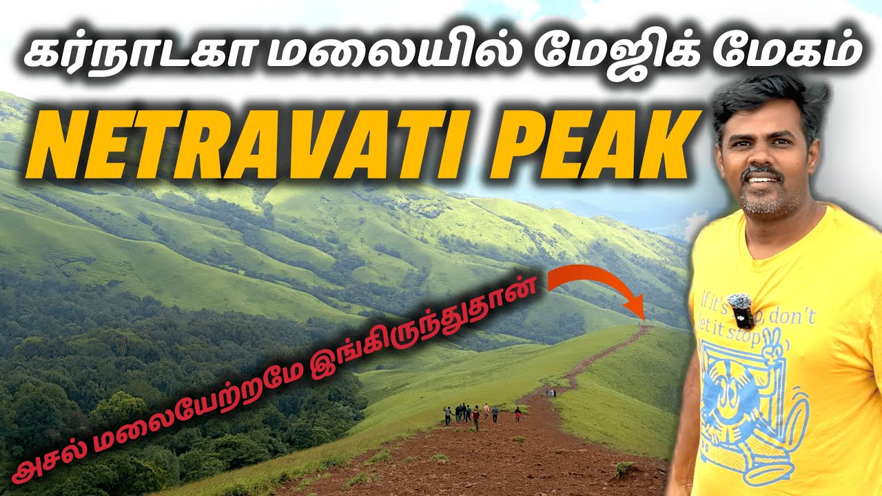 Netravati Peak Trek 2025 😍 | Most Beautiful Trek in Karnataka | Trek ...