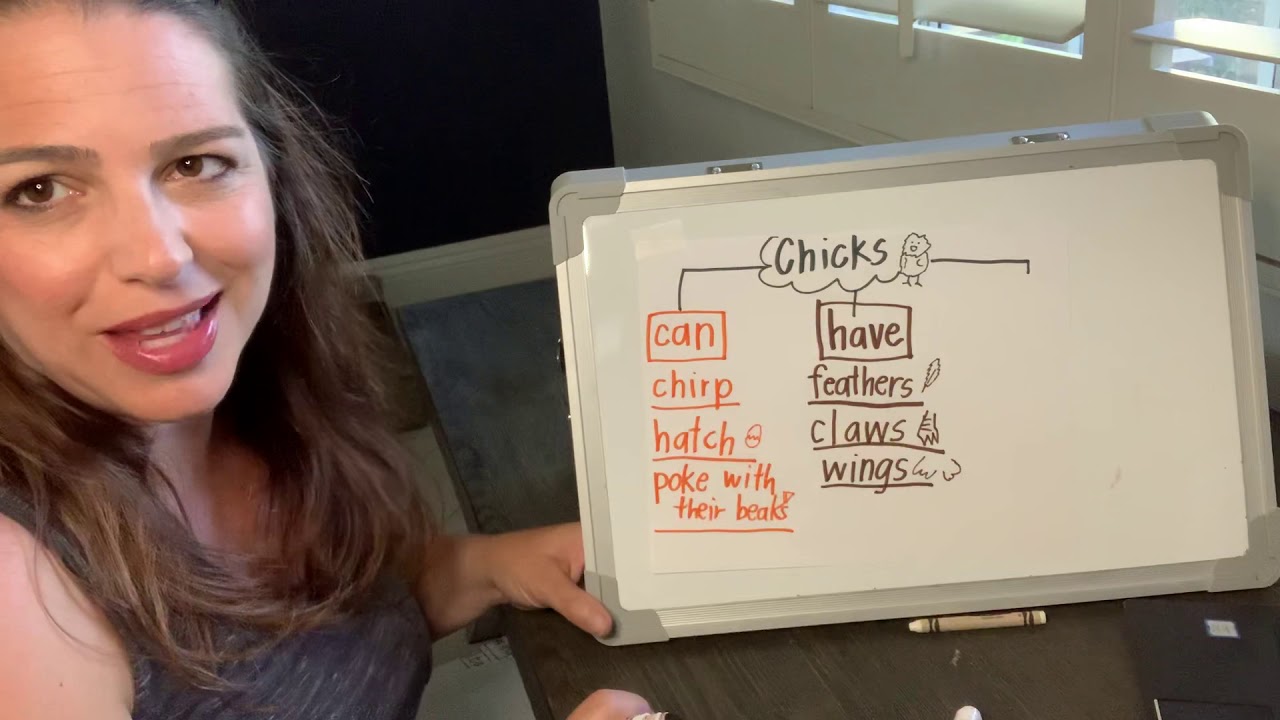 Chicks Tree Map 🐣 - YouTube