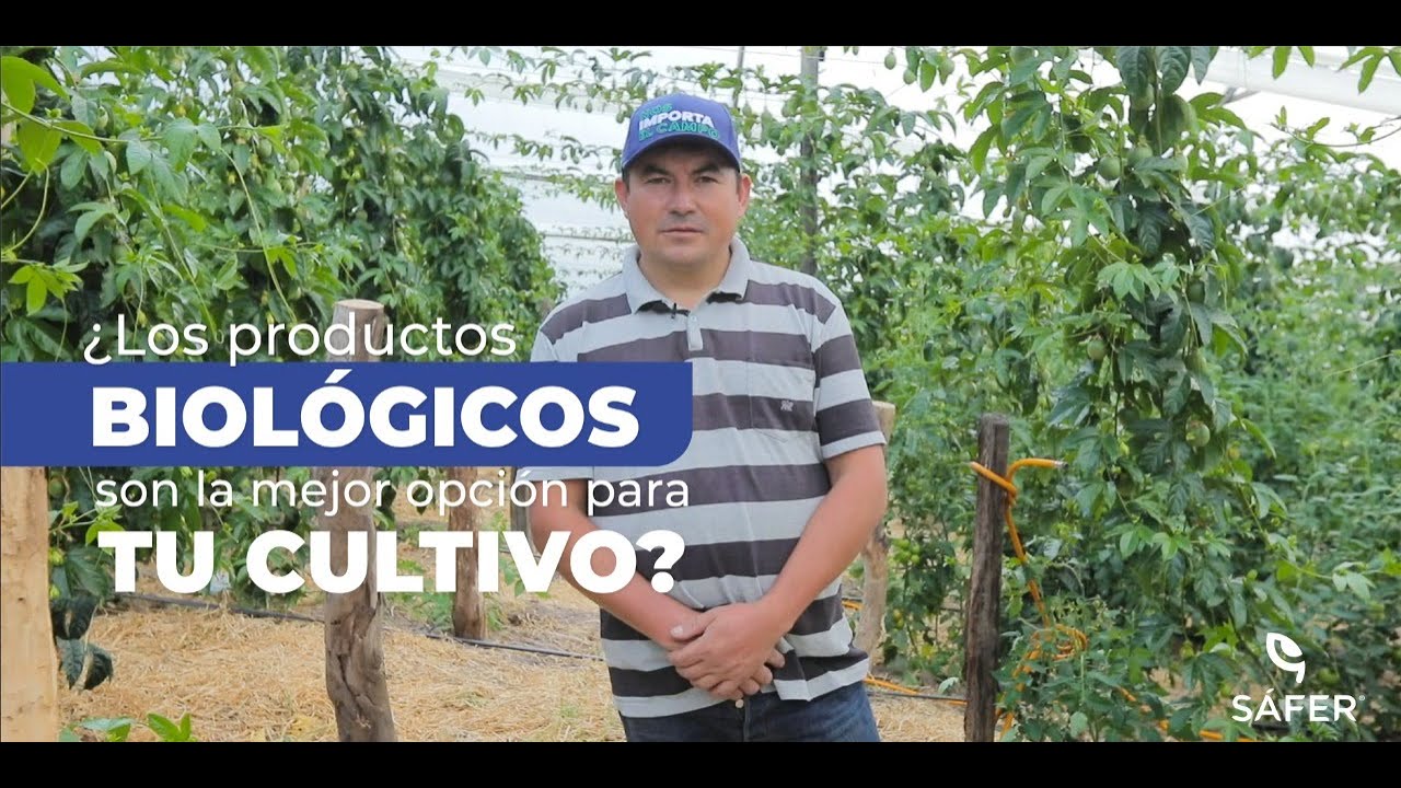 Los productos biológicos son tu mejor elección ♻️ - YouTube