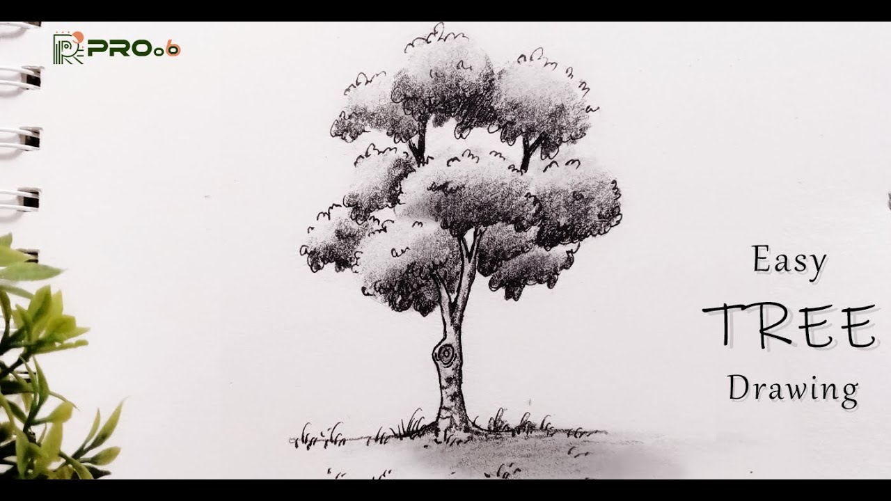 How to Draw an Easy Tree || Step-by-Step Pencil Sketch Tutorial for ...