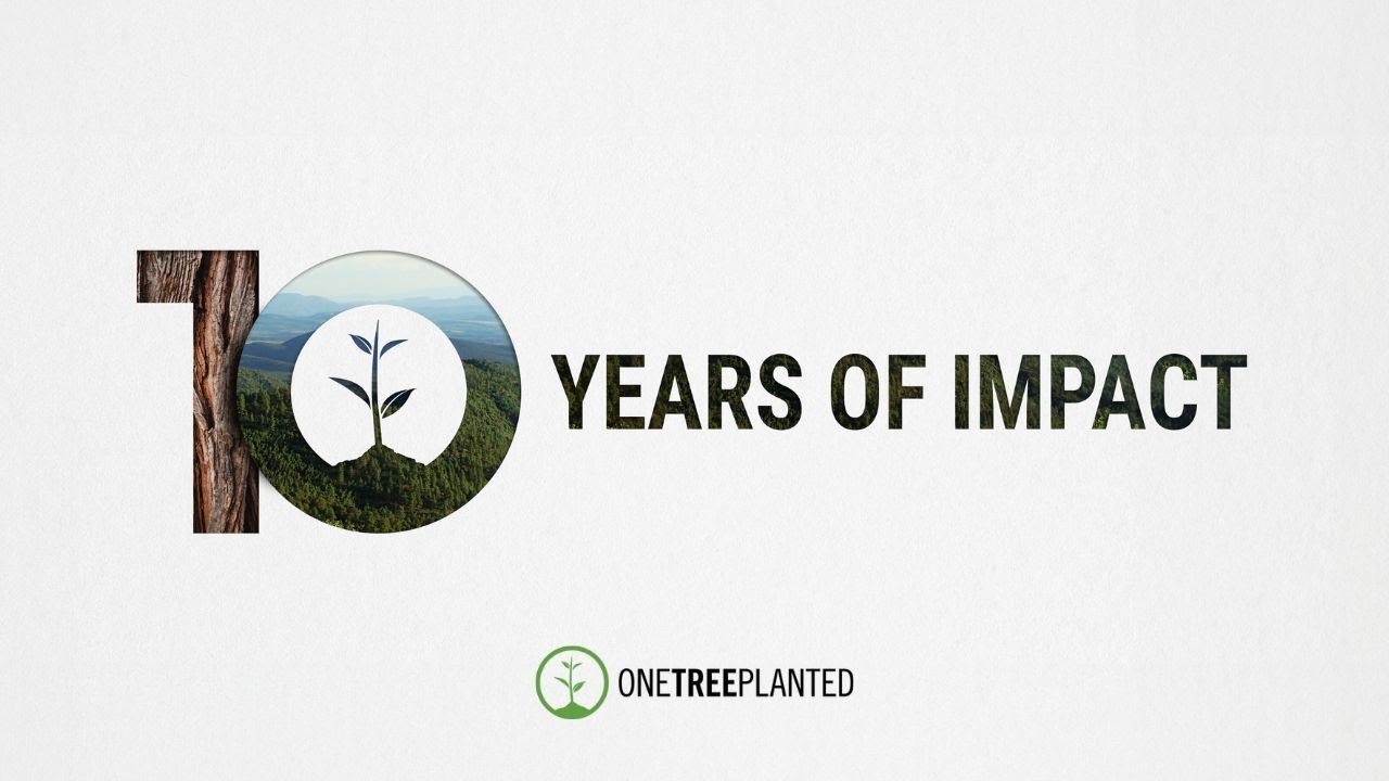 10 Years of Impact | One Tree Planted - YouTube