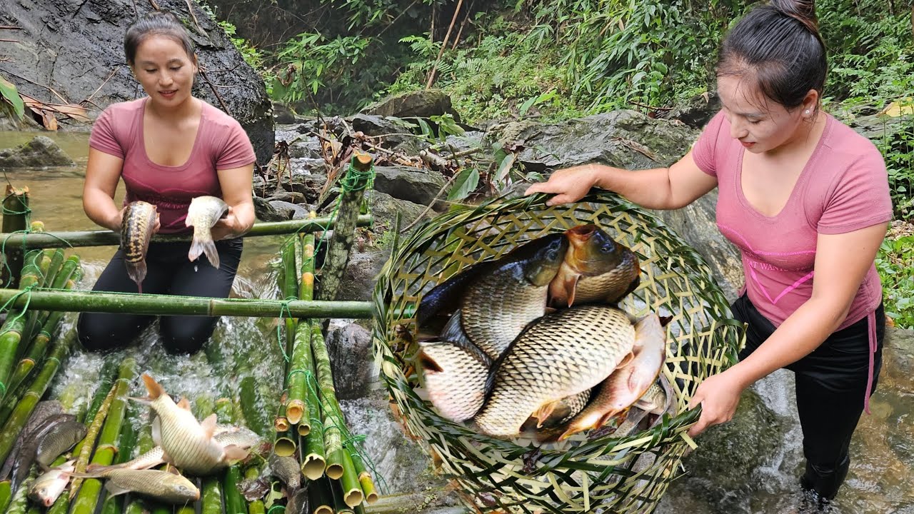 How the girl made a fish trap during the flood season, caught many huge ...