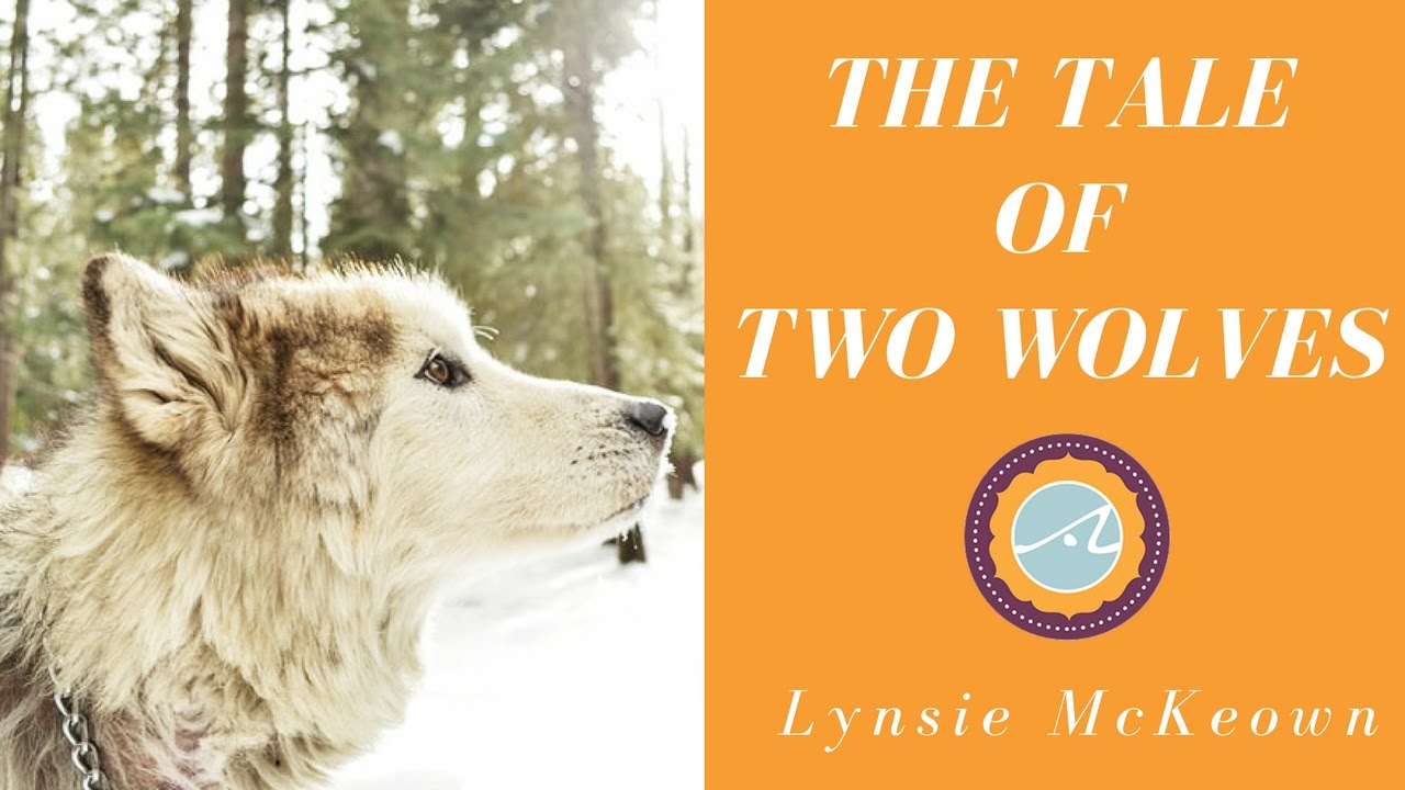 The Tale of Two Wolves - YouTube