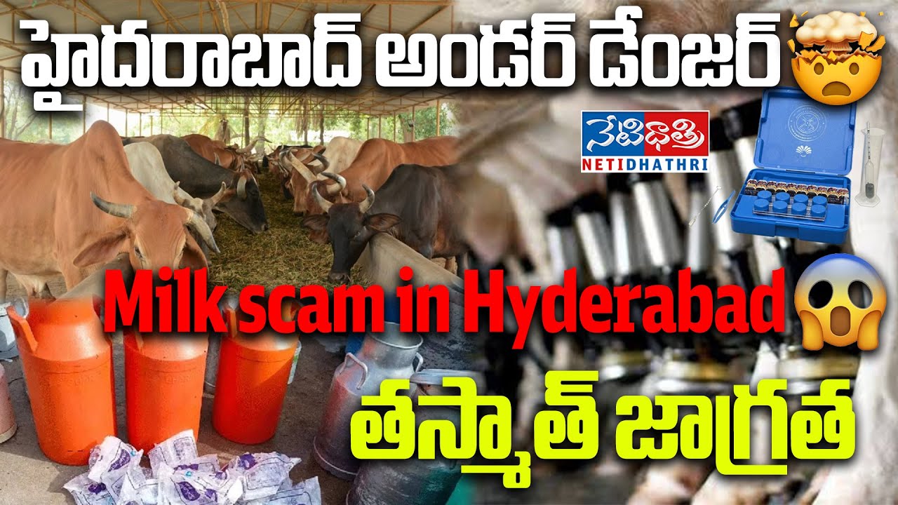 హైదరాబాద్ అండర్ డేంజర్.. 🤯Milk scam in Hyderabad 😱. - YouTube