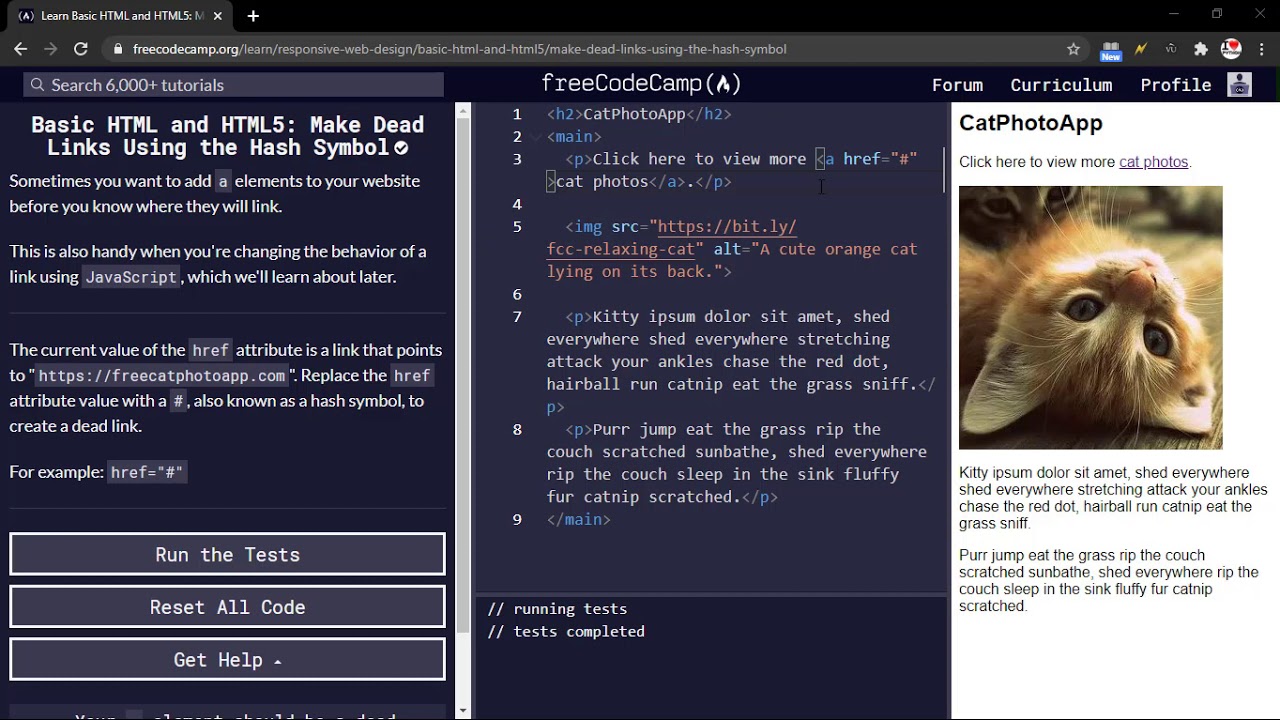 How To Activate Night Mode in Freecodecamp - YouTube