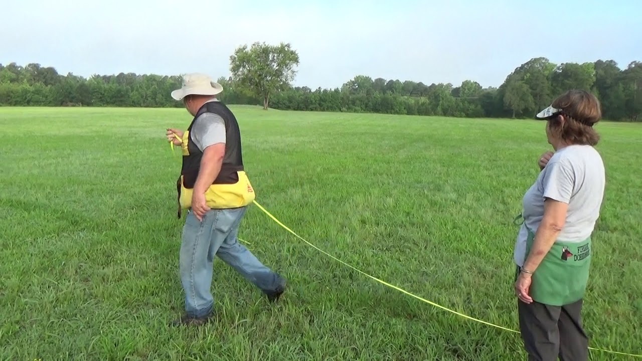 Enzo tracking training 6 2 2018 - YouTube