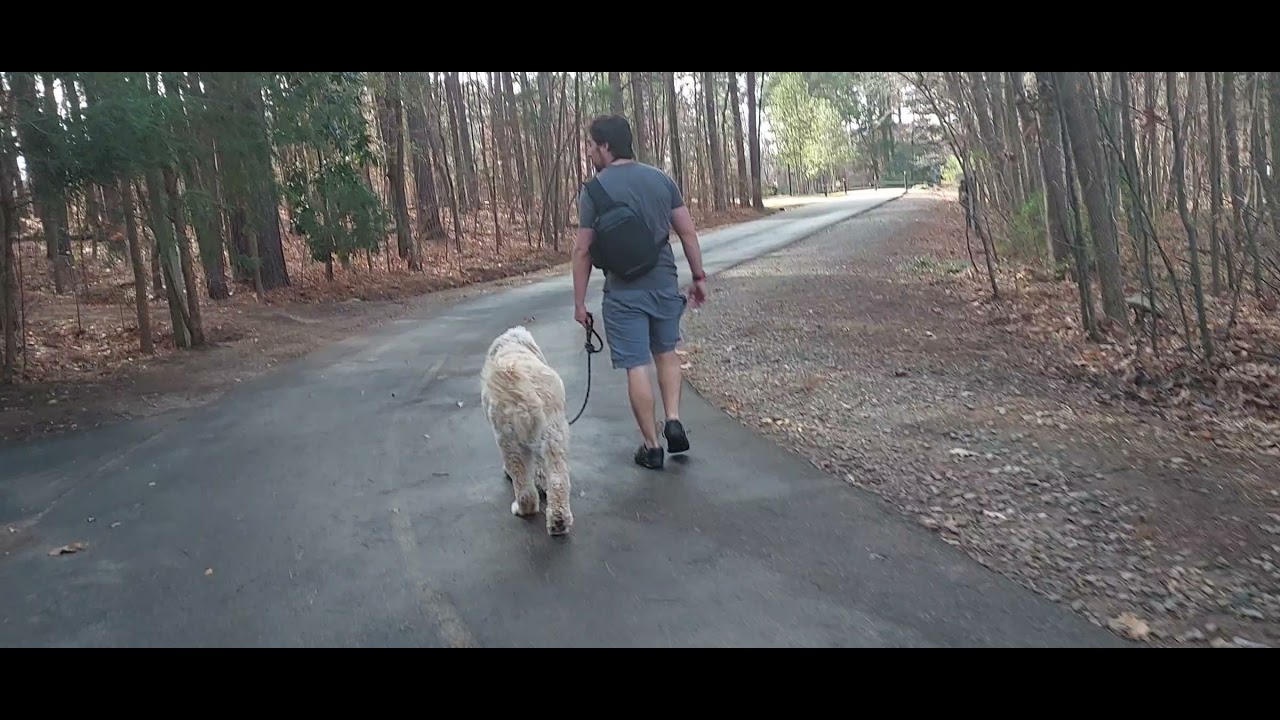 Sandy Bond Park pt.2 - YouTube