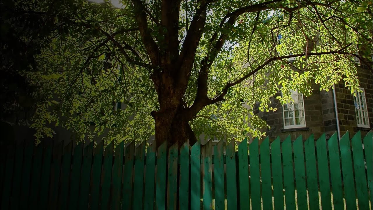 I AM - The Gate – Mike Coghill - YouTube Music
