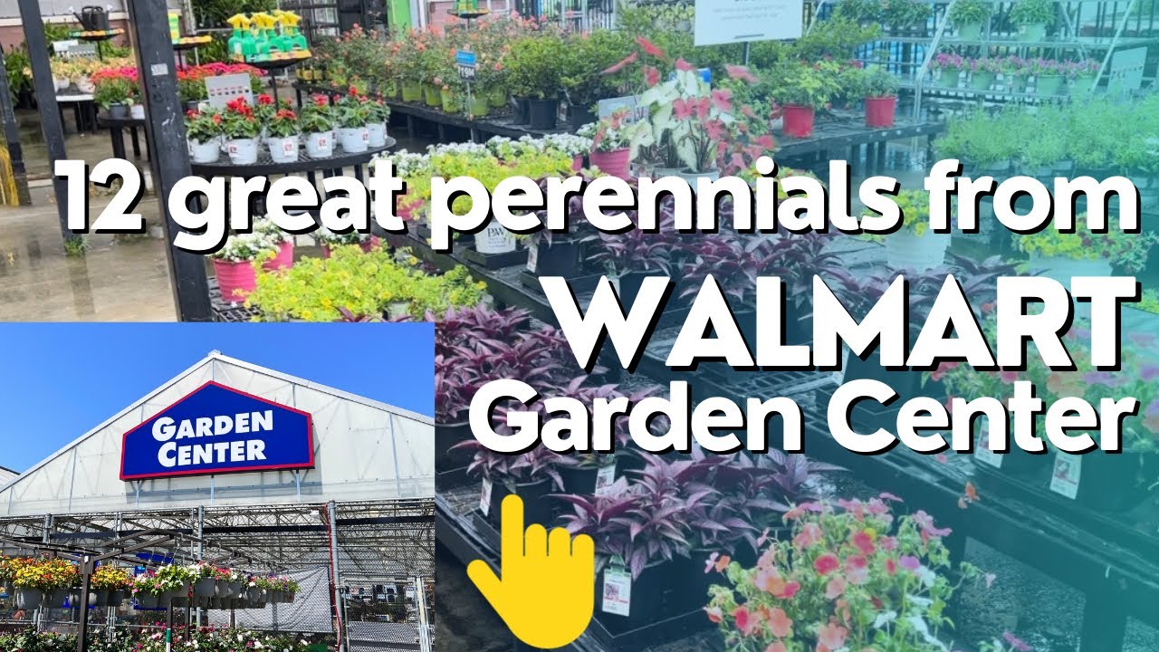 Walmart Garden Center