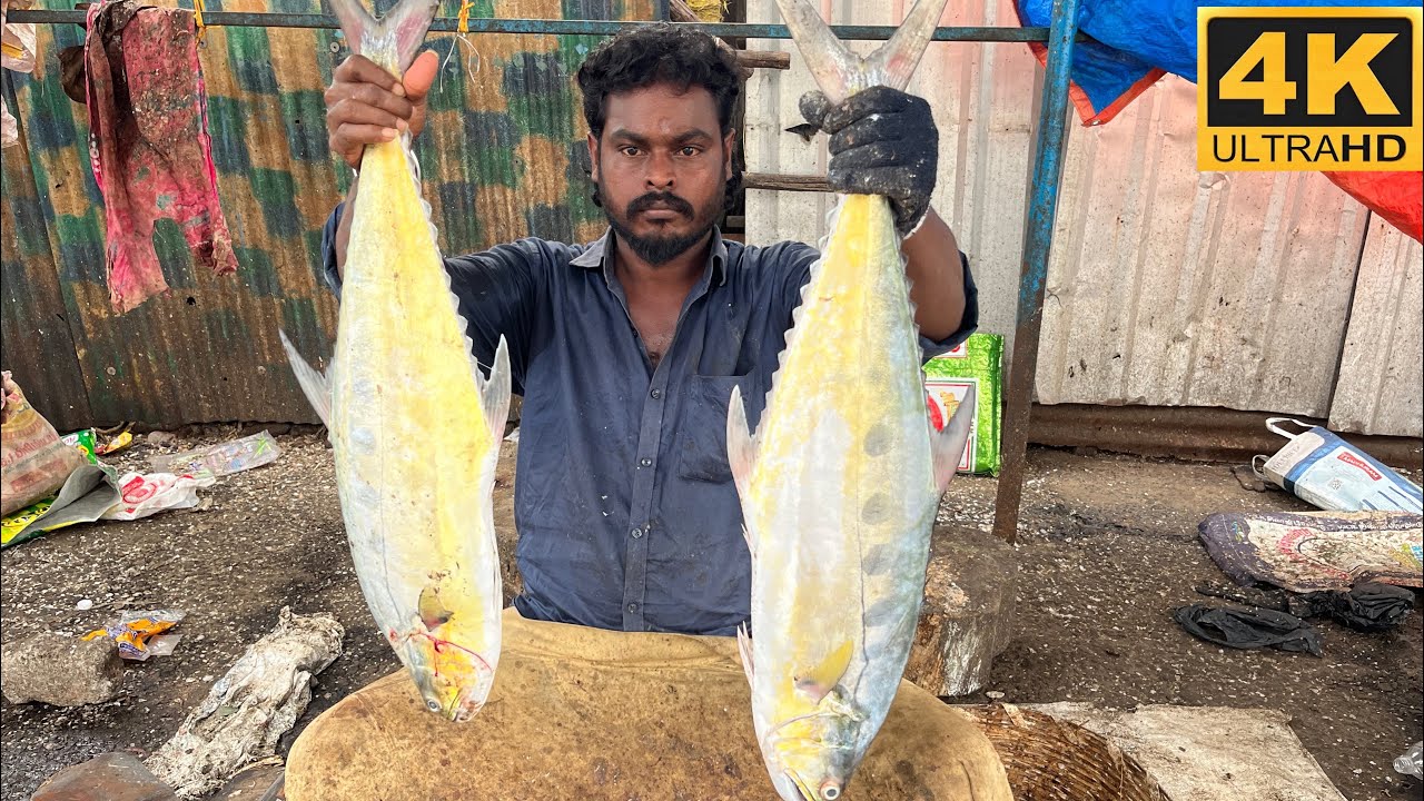 Parla fish cutting video Fishcuttingrs #fishcuttingrs #fish #kasimedu ...