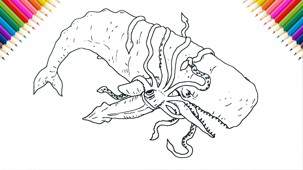 Colossal Squid Coloring Pages colossal-squid-coloring-pages