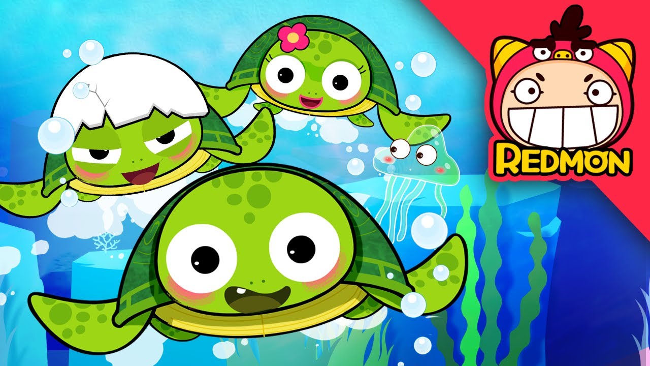 Turtle song - Animal Songs [REDMON] - YouTube