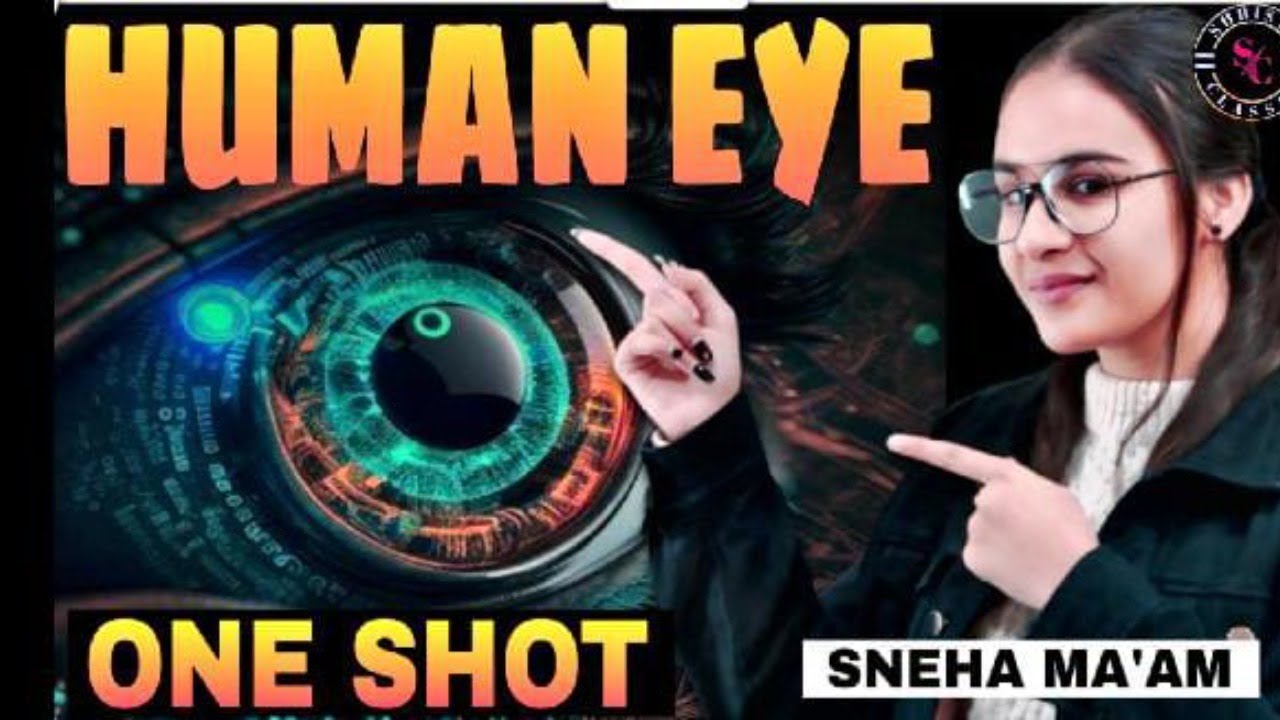 The Human Eye Explained in Hindi 👁️ | मानव आँख की संरचना और कार्य ...