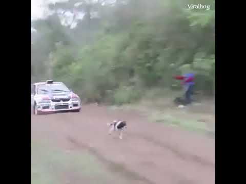 ALLAH'ın möcüzələri 😱😱😰😰😖😖