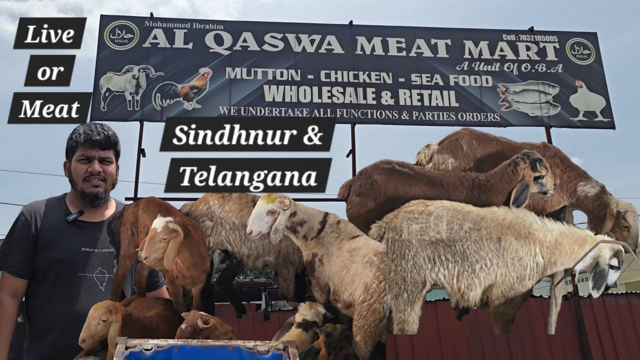 Al Qaswa Meat Mart Hyderabad | live or meat available pure Telangana ...