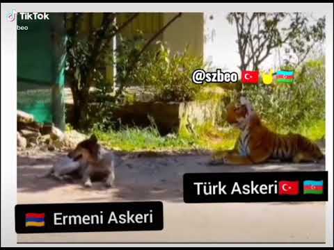 TÜRK ASKERİNİ AZERBAYCAN ASKERİNİ GÖREN ERMENİ ASKERİ BUGÜN BİRİNİZ BİGÜN HEPİNİZ YAŞASIN TURAN