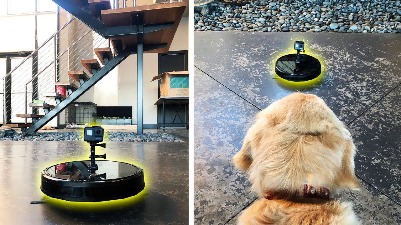 What happens to the Robot Vacuum when we leave? (Dog GoPro Spycam ...
