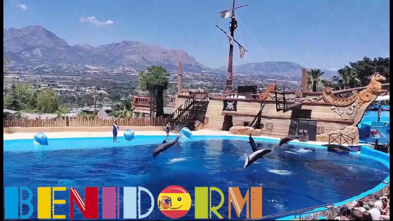 Benidorm's MUNDOMAR ~ DOLPHINS! Sealions! MINI SEAWORLD! An Extensive ...
