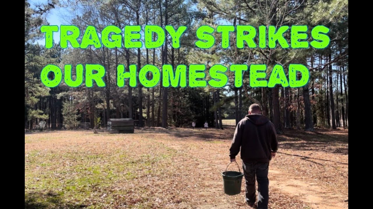 Tragedy Strikes Our Homestead - YouTube