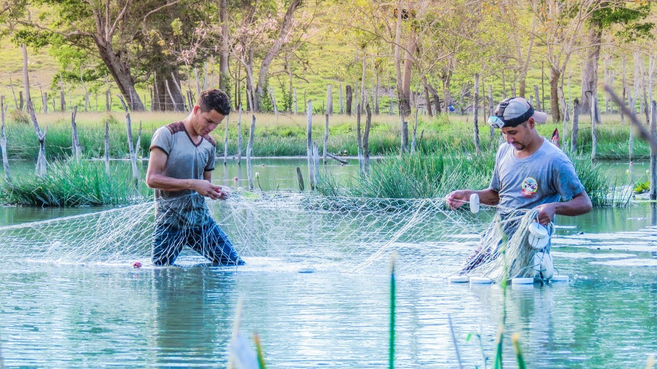 Pescando Con Trasmallos En Posas A La Orilla del Río - YouTube