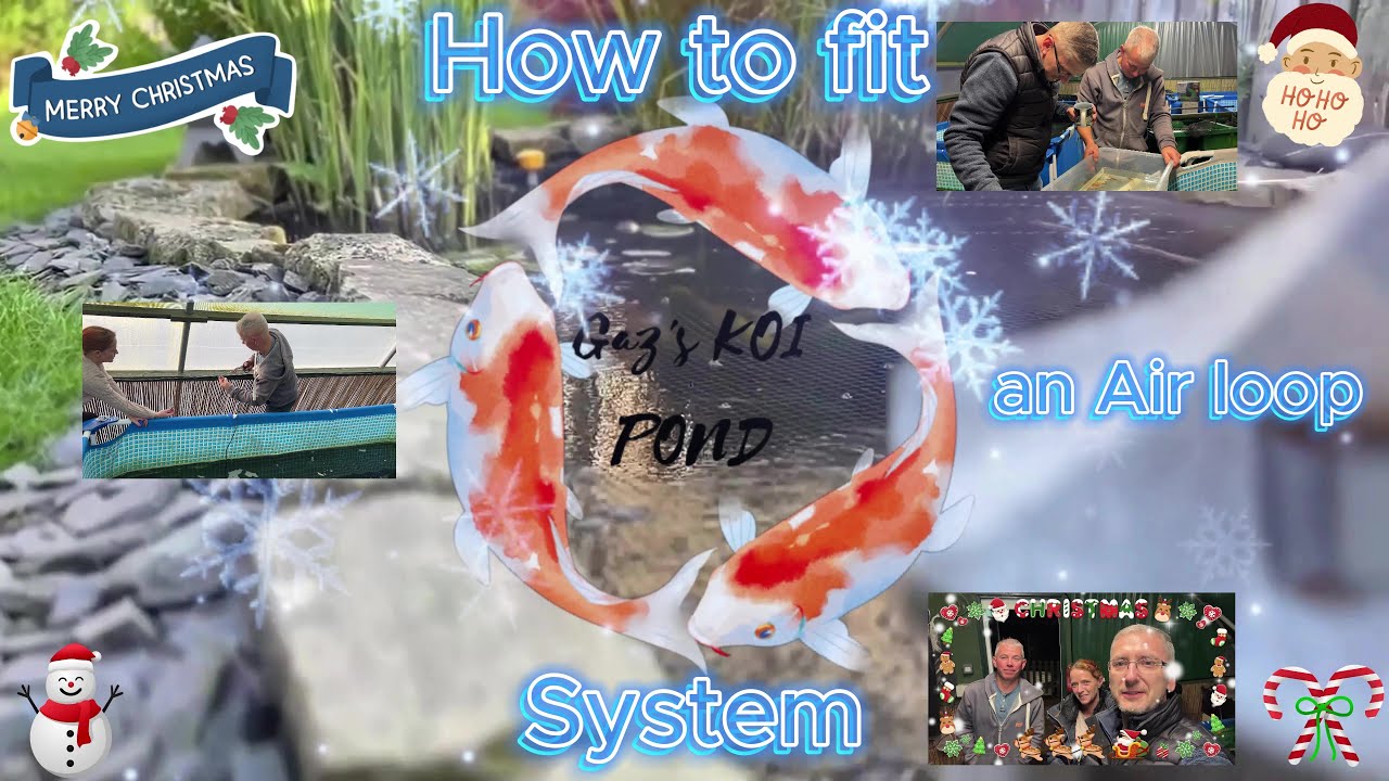 How to fit An Air Loop System #koi #keepsmiling #gkp - YouTube