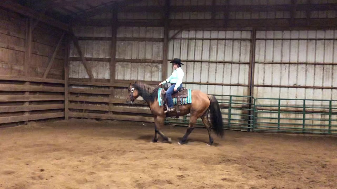 Ranch pleasure - YouTube