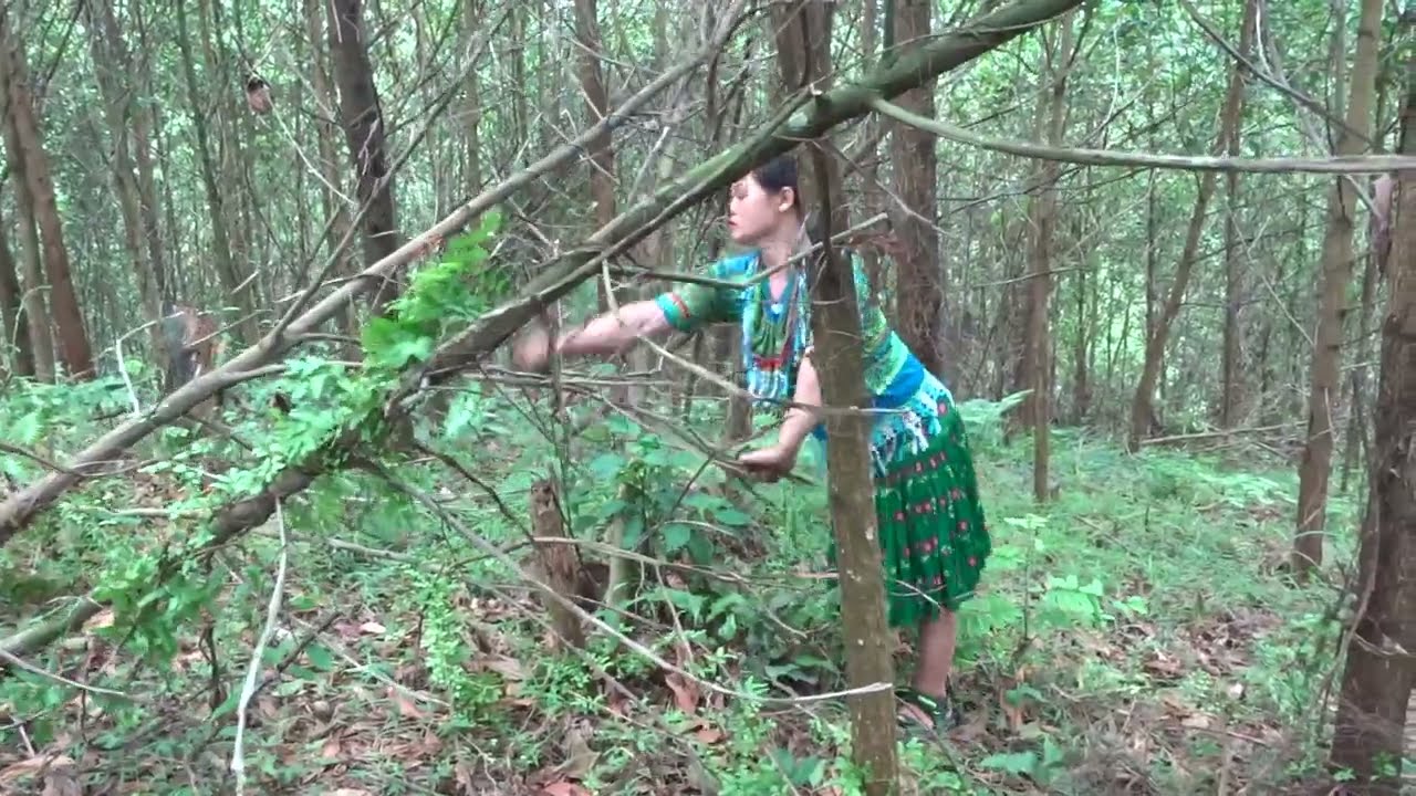 Primitive Free Life - LIVING OFF GRID Wild Survival Cooking Pig In The ...