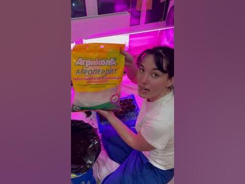Земля для рассады #петуния #петунии #рассада #рассадапетунии - YouTube