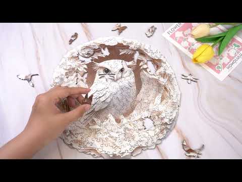 KAAYEE Wooden Jigsaw Puzzles Adult Unique Shape Advanced 3D Paper Carved Owl