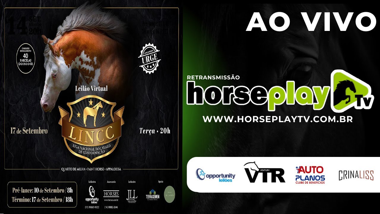 LEILÃO VIRTUAL LINCC - QUARTO DE MILHA - YouTube
