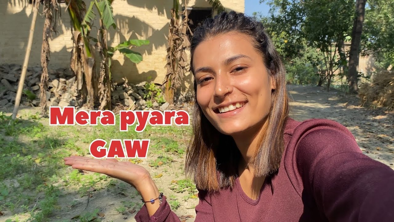 MERA PYARA GAW| bihar | episode:06| gaw ki masti | life with srishti | @Ji_abhishek_ji_ | - YouTube