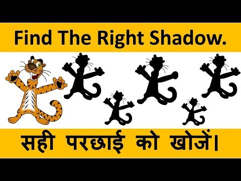 2) Can You Find The Right Shadow | Find The Right Shadow | सही परछाई को ...
