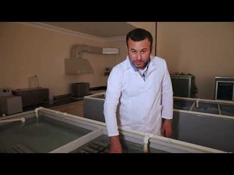 Naxçıvan  Sement zavodunun əməkdaşları kimlərdir?